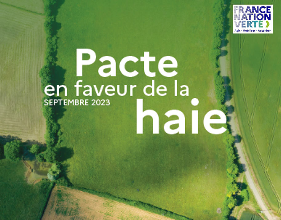 Appel à projets Animation du Pacte en faveur de la haie 2024 | DRAAF ...